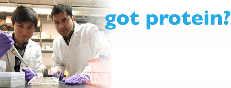 Cornell University Researcher Looks to Restore Fragile X Protein in ...