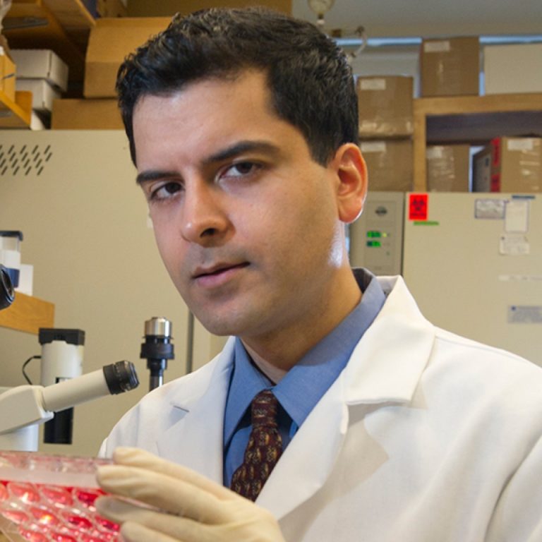 Molecular Mechanisms of Cytoskeletal Regulation by FMRP • FRAXA ...