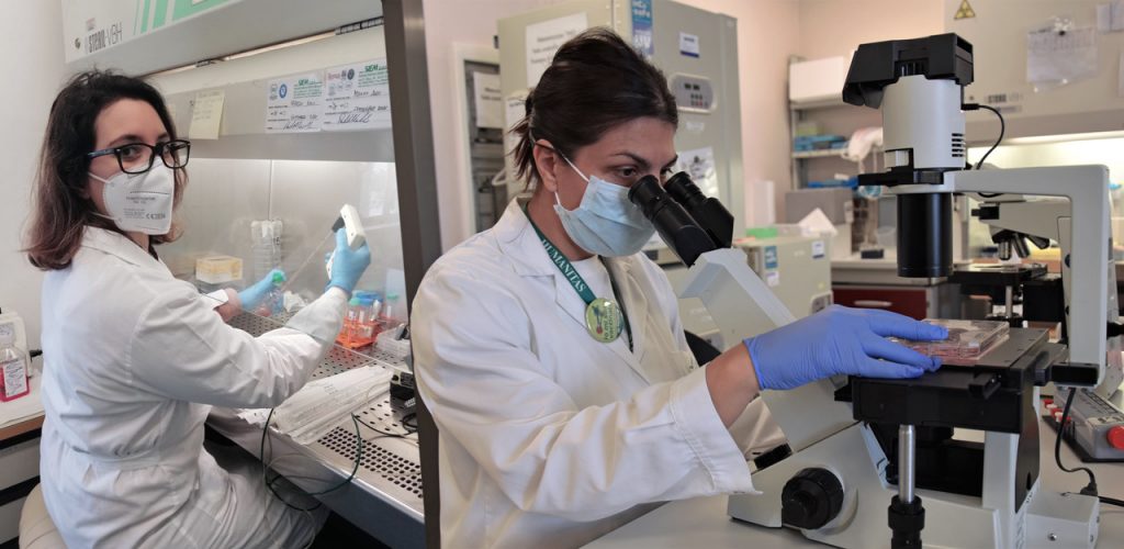 Fragile X Syndrome Timeline • FRAXA Research Foundation - Finding a ...