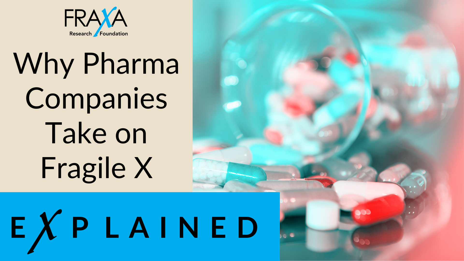 Why Pharma Companies Take on Fragile X, Explained • FRAXA Research ...