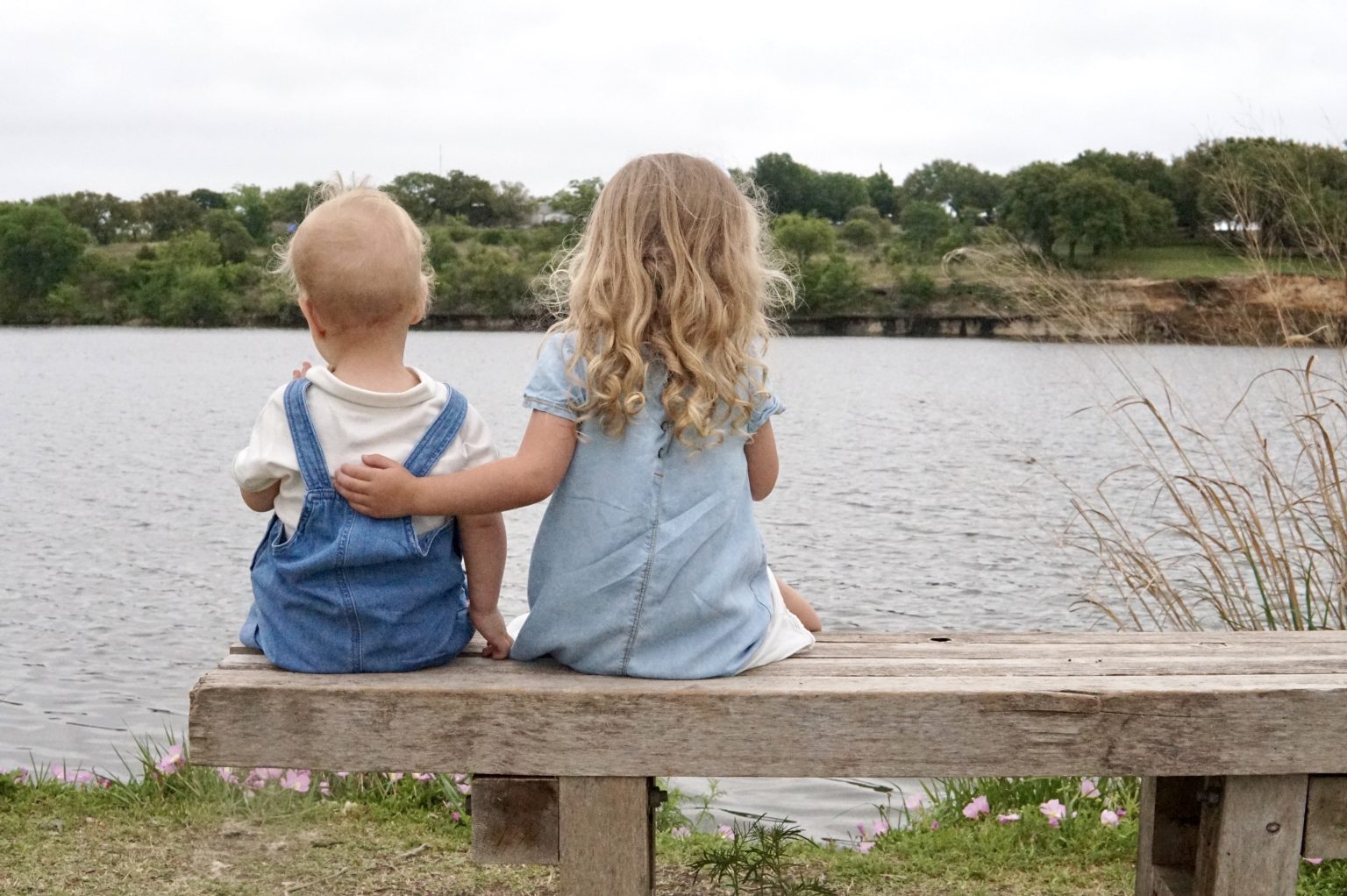 Finding effective treatments and ultimately a cure for Fragile X ...