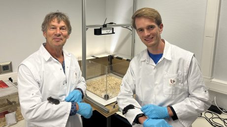 Fragile X Syndrome Timeline • FRAXA Research Foundation - Finding a ...