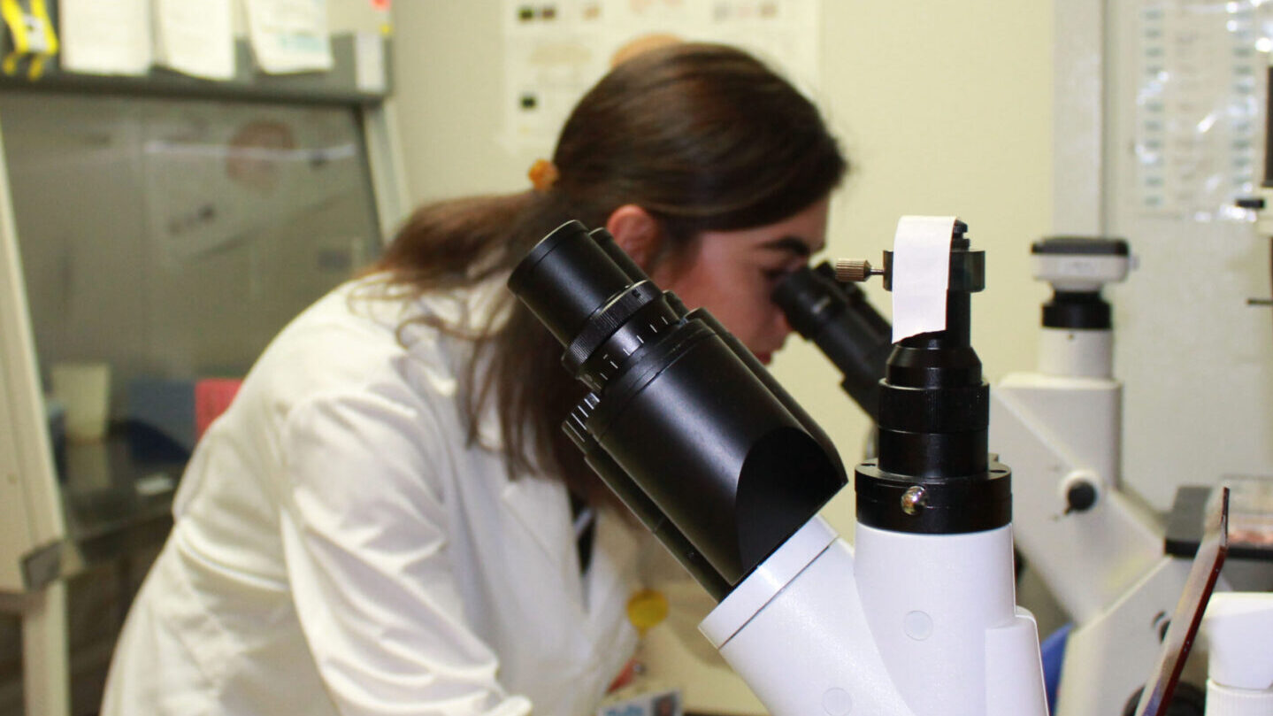 Fragile X Syndrome and Cancer Research: Unexpected Links and ...