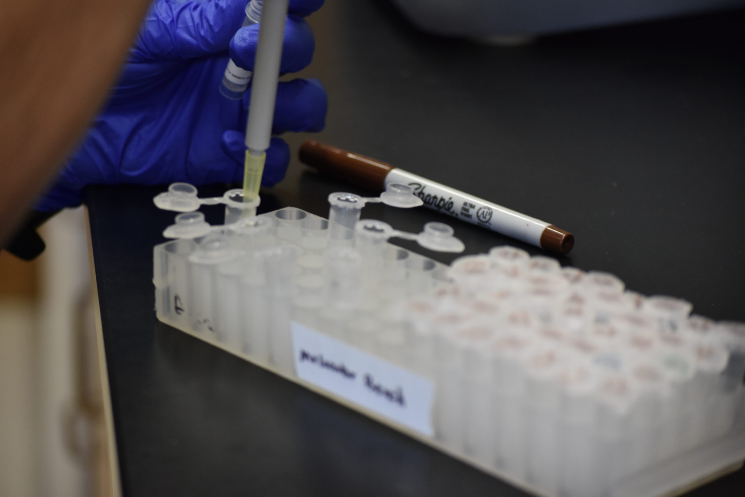 Clinical Trials In Fragile X Syndrome • Fraxa Research Foundation